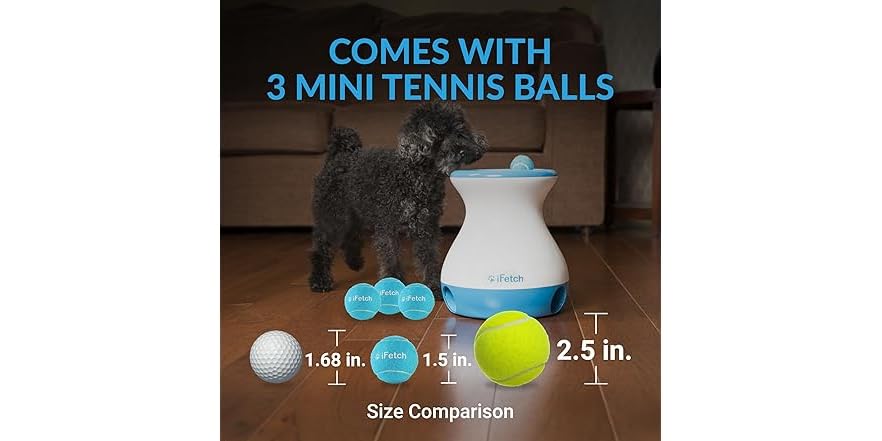iFetch Frenzy Interactive Dog Toy