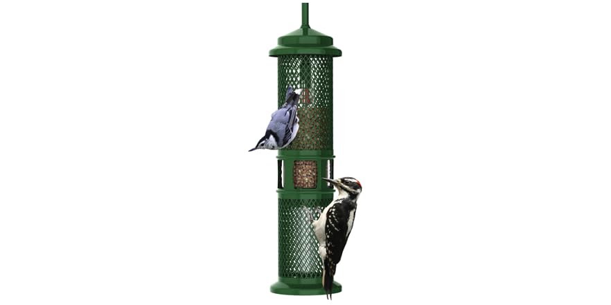 Brome Squirrel Buster Peanut Feeder