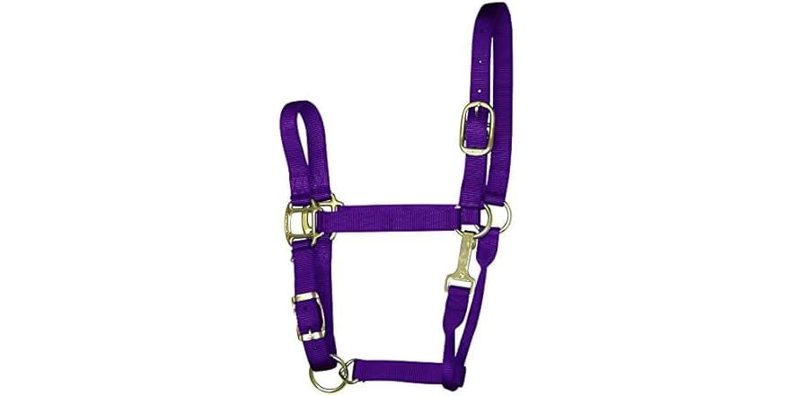 Hamilton 1" Nylon Adjustable Halter