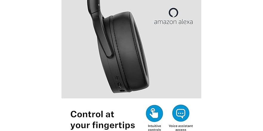 Sennheiser Consumer Audio HD 450SE Wireless Headphone