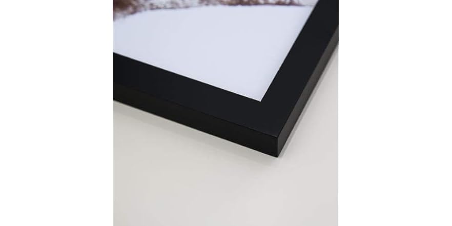 12x12 Square Pictures Frame Display