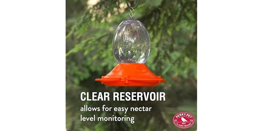 Perky-Pet Opus Plus 32-ounce Oriole Feeder
