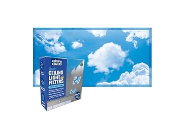 Teacher Created Ceiling Light Filters