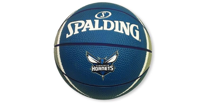 NBA 7" Mini Basketball