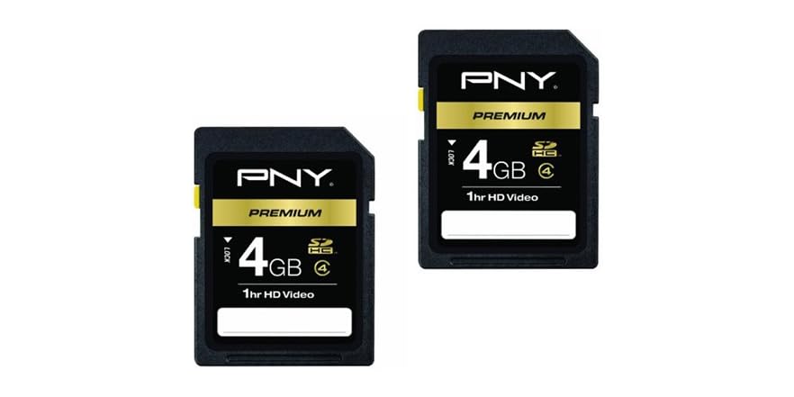 PNY 4GB Class 4 SD Card - 2 Pack