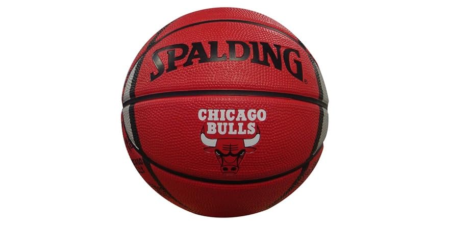 NBA 7" Mini Basketball