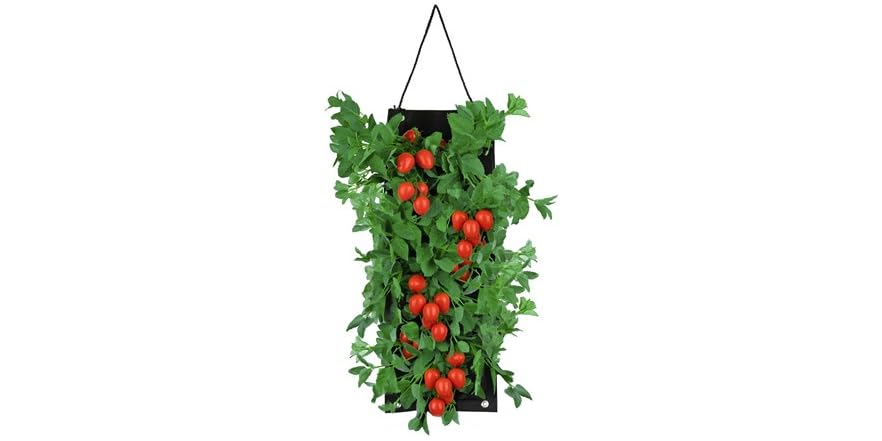 Organic Hanging Tomato Bag: Your Choice