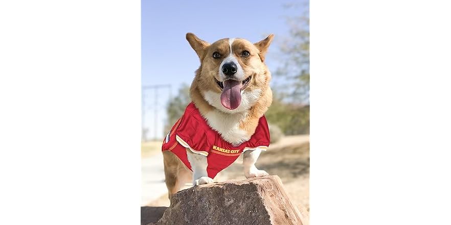 Pets First NFL Licensed Football Jersey Costume VARIES