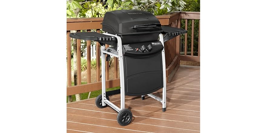 BBQ Pro 2-Burner Grill