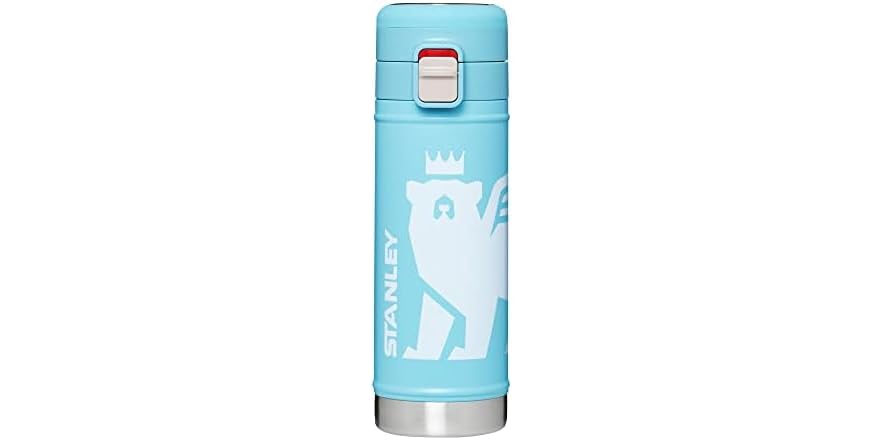 Stanley Steel Flowsteady Bottle 17 OZ