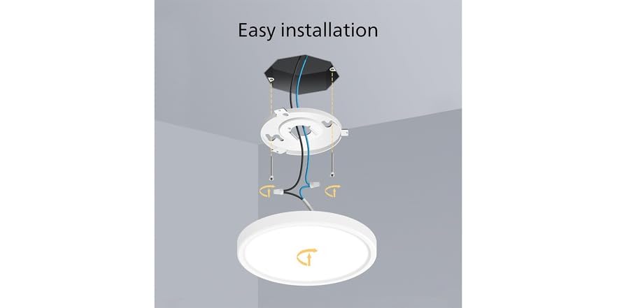 Philips 11" Selectable Color Temperature