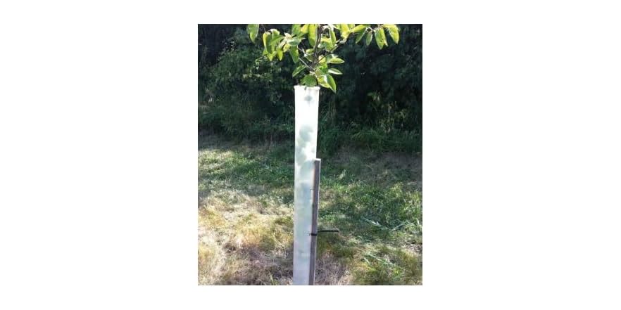 60" Miracle Tree Tube (50)