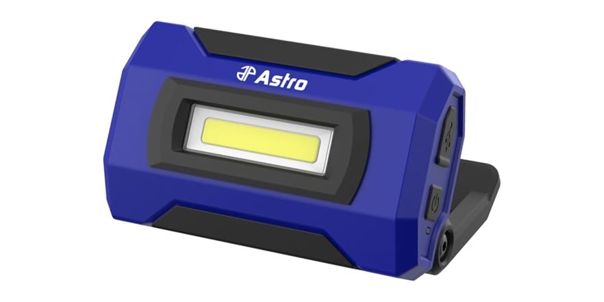 Astro Tools 100SL 1000 Lumen Mini LED Flood Light