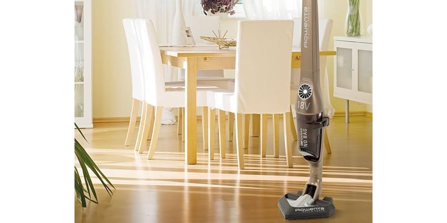 Rowenta Delta Force 18-Volt Cordless Vacuum