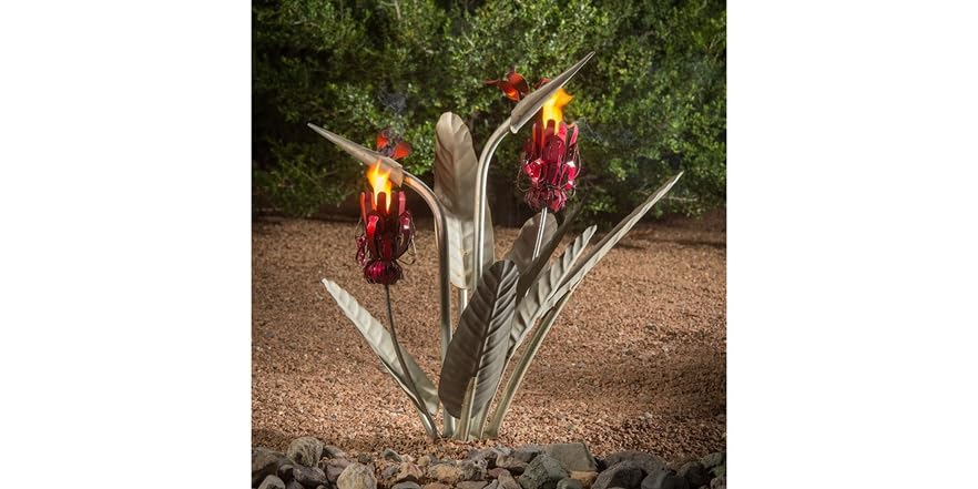 Birds of Paradise with Torch