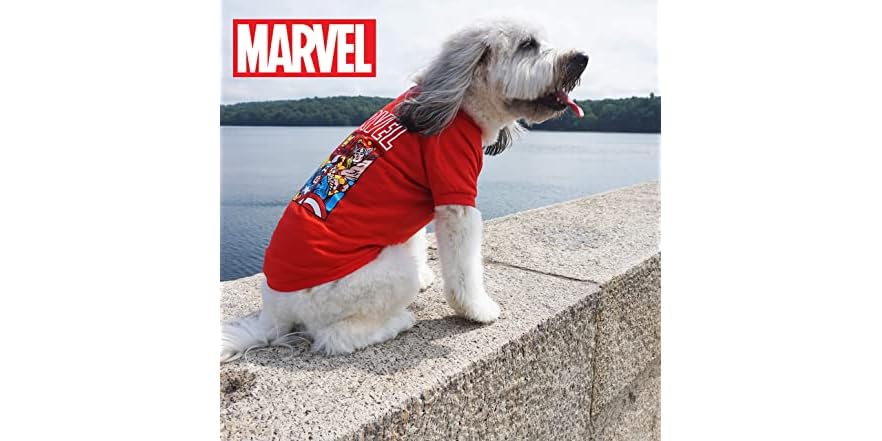 Marvel Comics for Pets Captain America