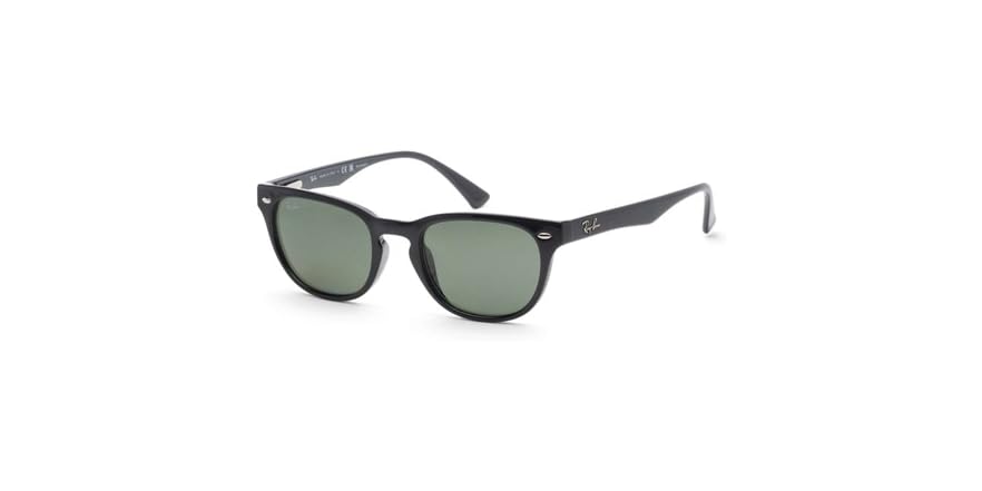 Ray-Ban Men's 4140 Polarized Sunglasses