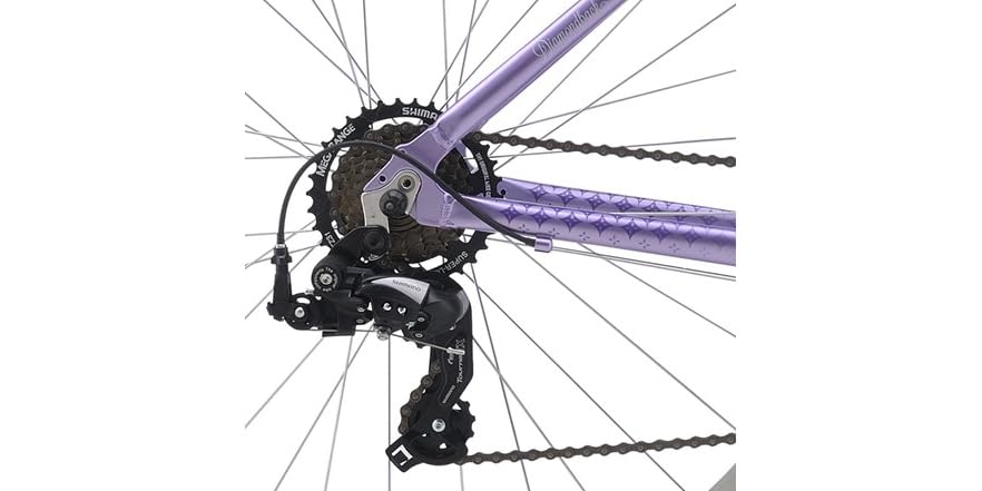 Diamondback Vital 2 Cruiser Bike