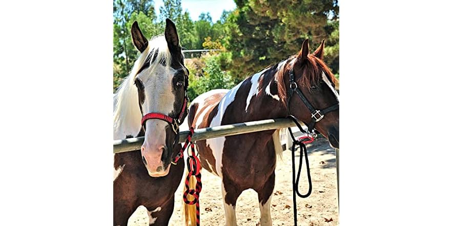 Horse Tether Tie, Blue