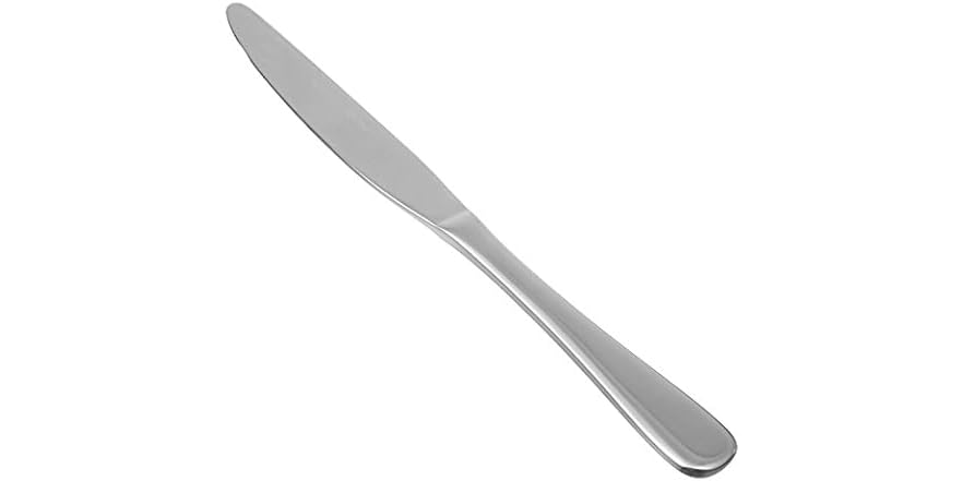 Amazon Basics Stainless Steel Dinner Knife