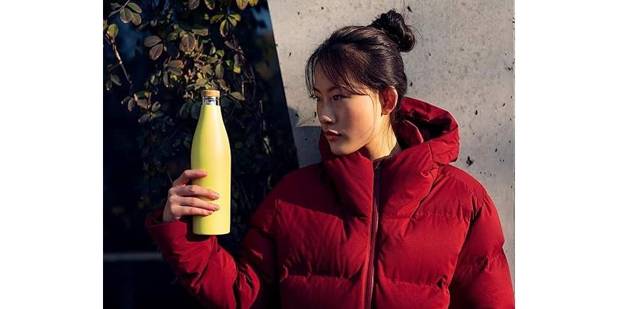 SIGG Insulated Water Bottle 17Oz