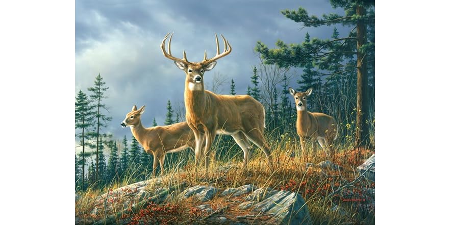 Autumn Whitetail Mural