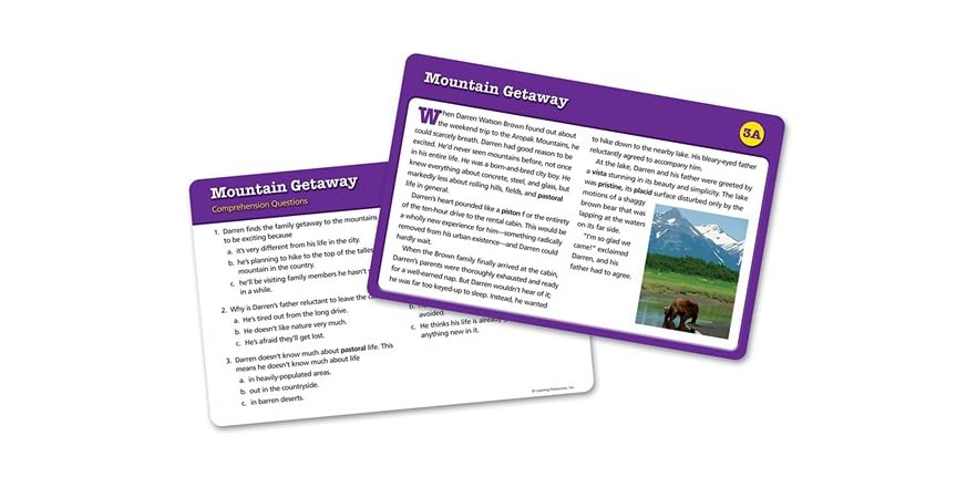 Learning Resources Reading Comprehension Card Set 5