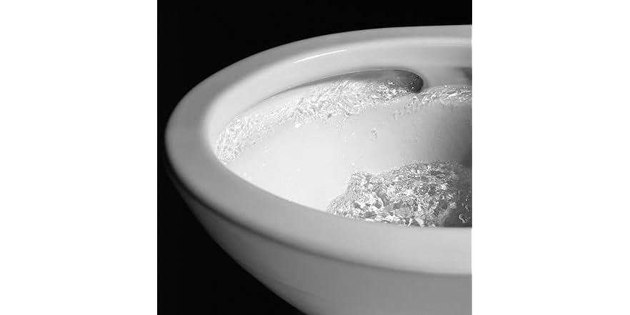 TOTO Vespin II Two-Piece Toilet