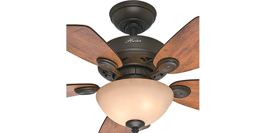 Hunter Watson Indoor Ceiling Fan (Open Box)