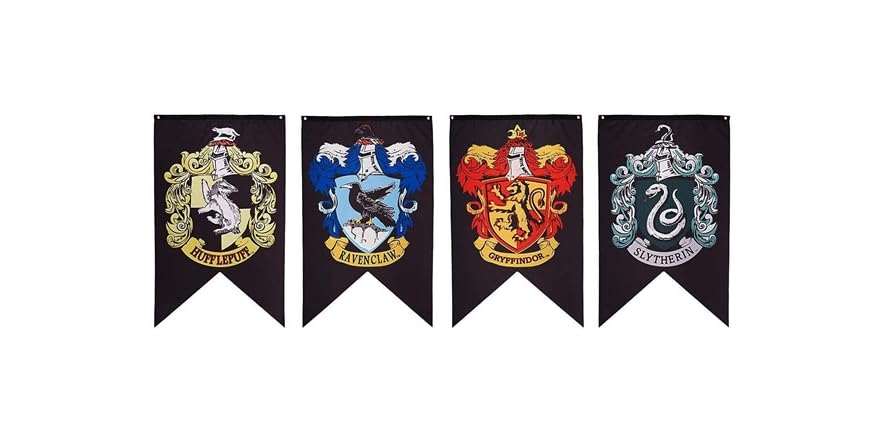 5pc Wizard School Banner Flags