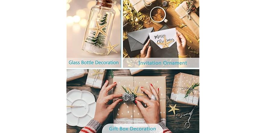 Winspeed 100pc Decorative Starfish W/ Box