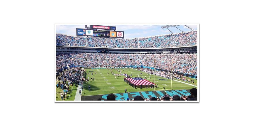 NFL 36x20 Stadium Posters