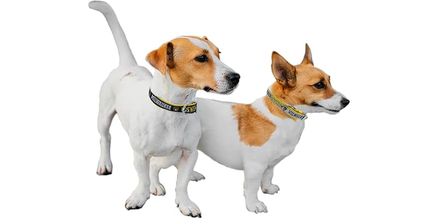 CHIEFS Reversible Dog Collar
