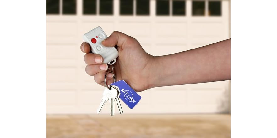 Skylink Security System