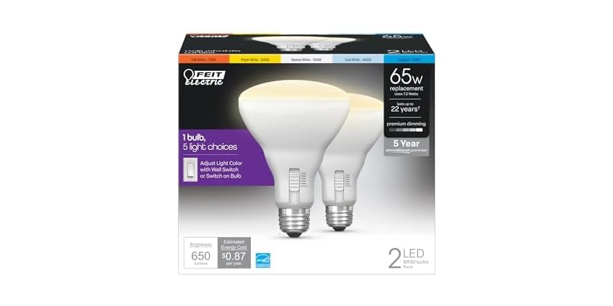 Feit Electric BR30 LED Light Bulb(2 Pack)