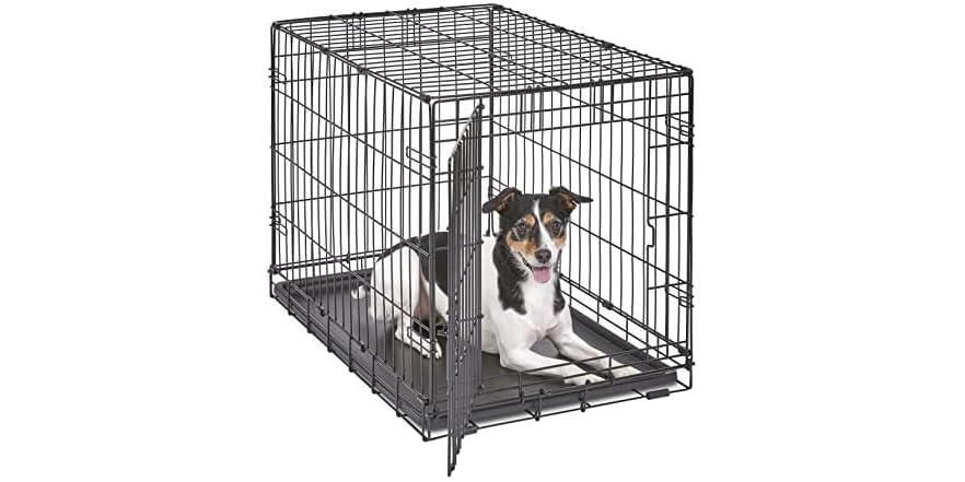 New World Single Door Dog Crate, 30"