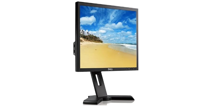 Dell P190S 19" Flat Panel LCD Monitor