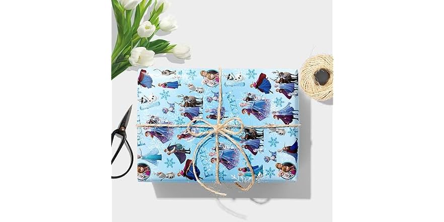 5 Pcs Frozen Wrapping Paper