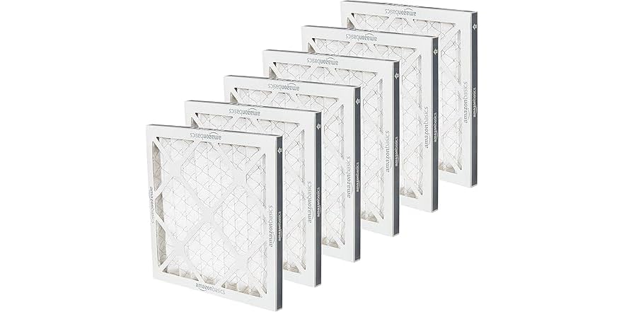 Amazon Basics 12x12x1 Air Filter 6 Pack, MERV 8