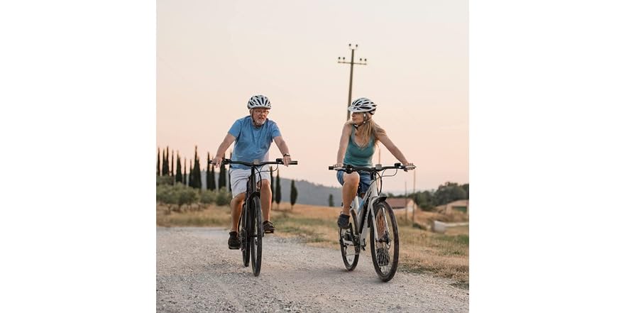 MICLON Macmission 100 Adult 27.5" Ebike