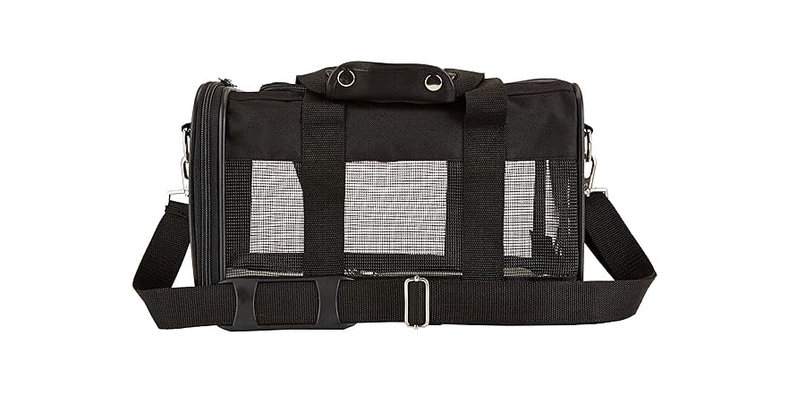 Amazon Basics Soft-Sided Mesh Pet Carrier