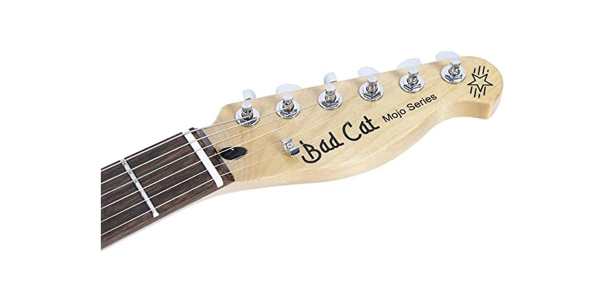 Bad Cat Instruments Electric Guitar