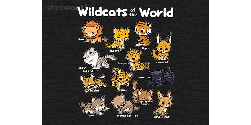 World Wildcats