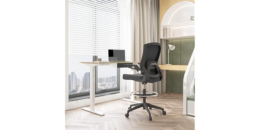 Amazon Basics Mid-back Mesh Office Chair