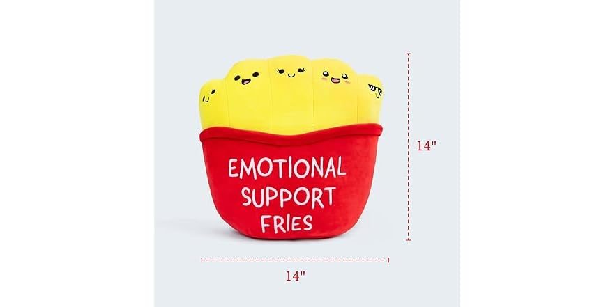 Emotional Support Mochi Fries