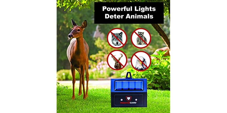 Predator Deterrent Light