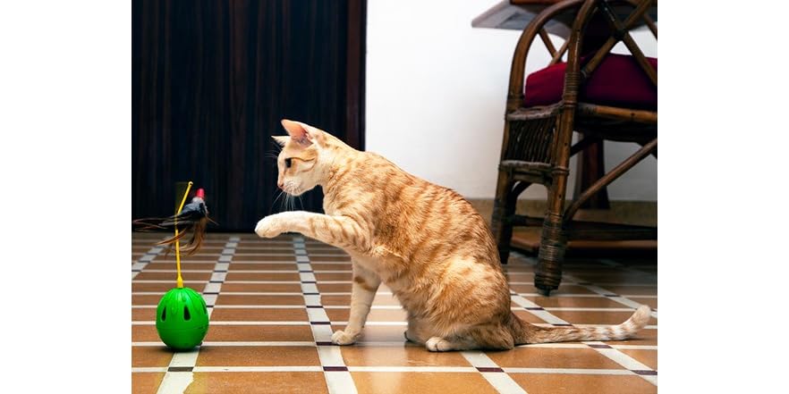 Tricky Tumble Interactive Cat Toy