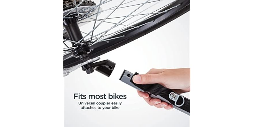 Schwinn Day Tripper Cargo Bike Trailer