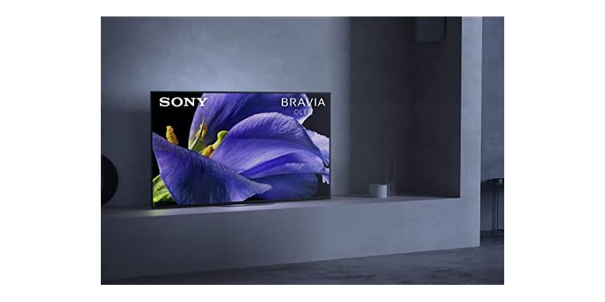 Sony MASTER A9G 65" Class HDR 4K UHD OLED TV