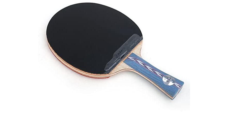 DHS Tournament Ping Pong Paddle